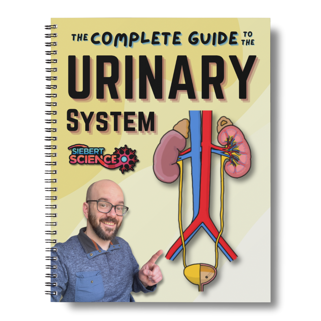 The Complete Guide to the Urinary System (ebook) – Siebert Science Store