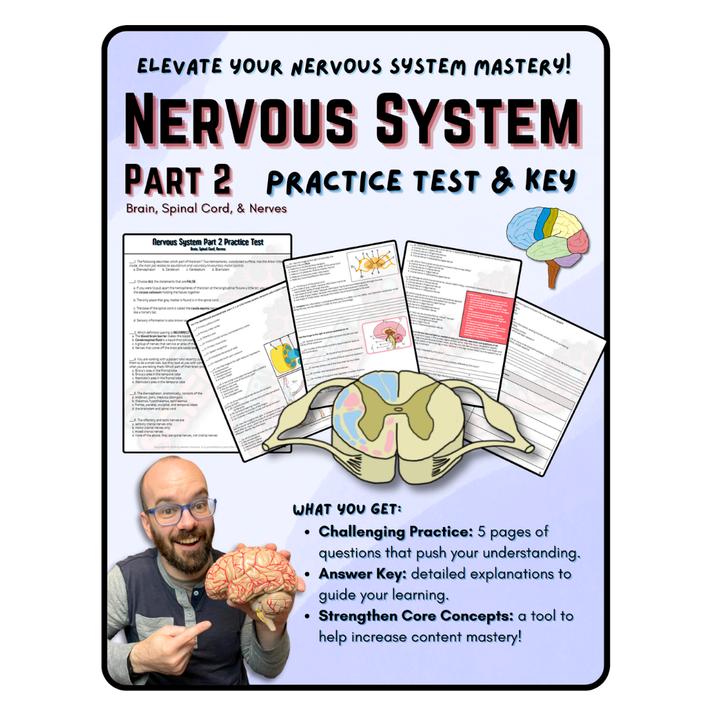 Practice Test - Nervous System, Part 2 (Brain, Spinal Cord, & Nerves ...