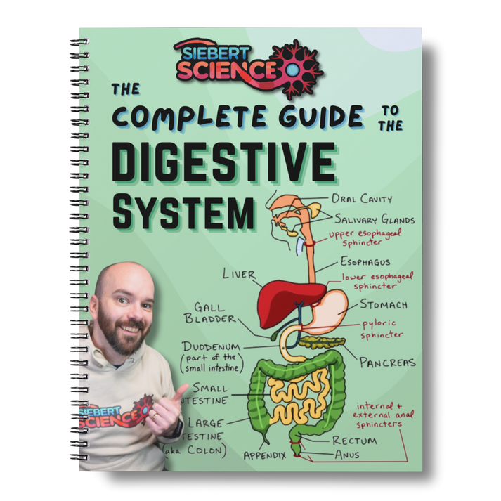 The Complete Guide to the Digestive System (ebook) – Siebert Science Store