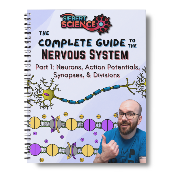 The Complete Guide to the Nervous System (Part 1: Neurons, Action Pote ...