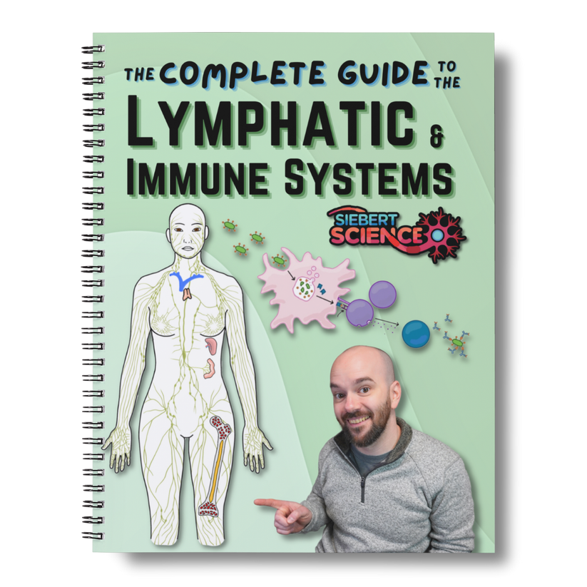 The Complete Guide to the Lymphatic & Immune Systems (ebook) – Siebert ...