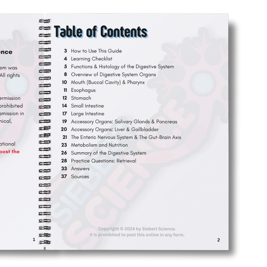 The Complete Guide to the Digestive System (ebook) – Siebert Science Store