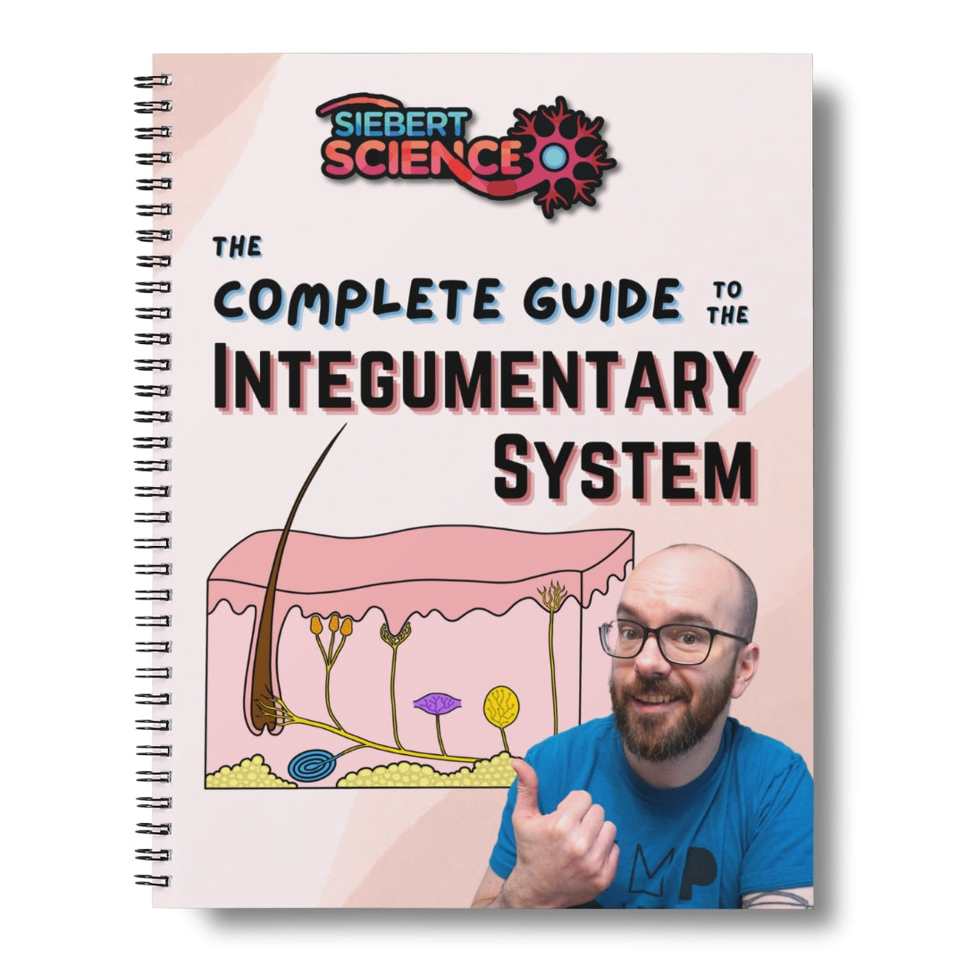 The Complete Guide to the Integumentary System (ebook) – Siebert ...