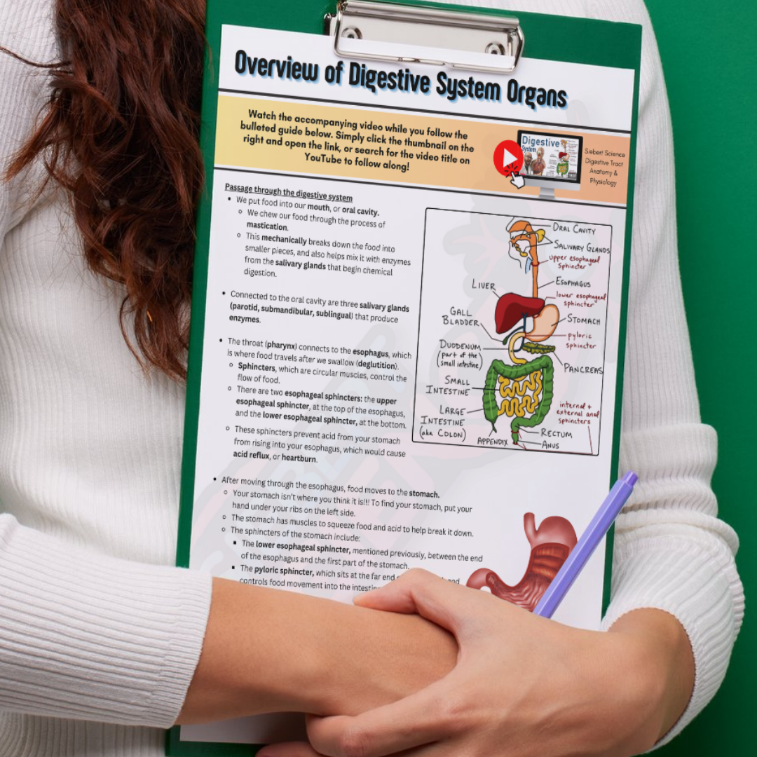 The Complete Guide to the Digestive System (ebook) – Siebert Science Store