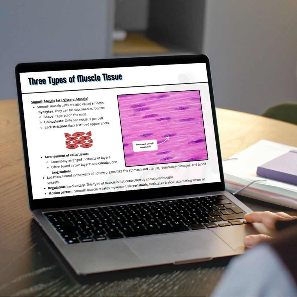 The Complete Guide to the Muscular System (ebook) – Siebert Science Store