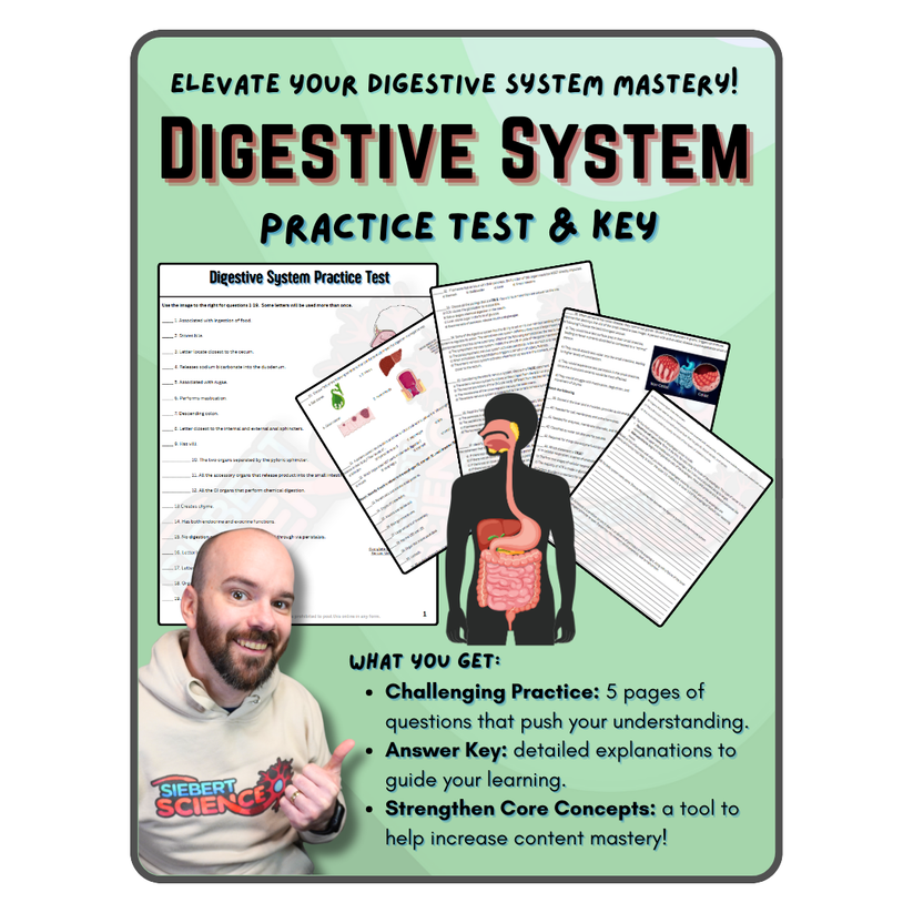 Practice Test - Digestive System – Siebert Science Store