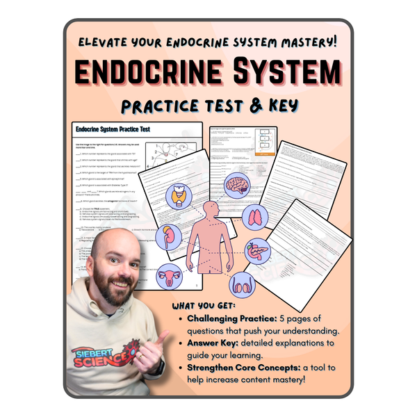 Practice Test - Endocrine System – Siebert Science Store