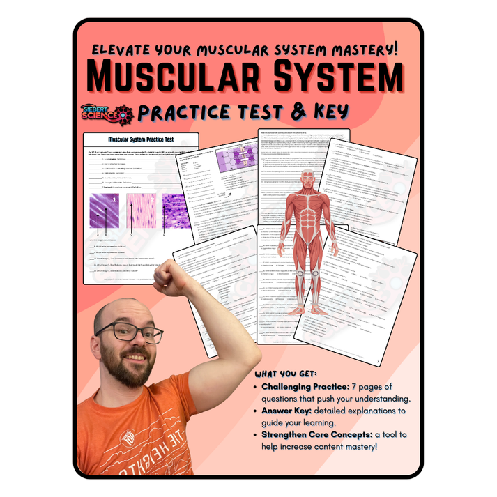 Practice Test - Muscular System – Siebert Science Store