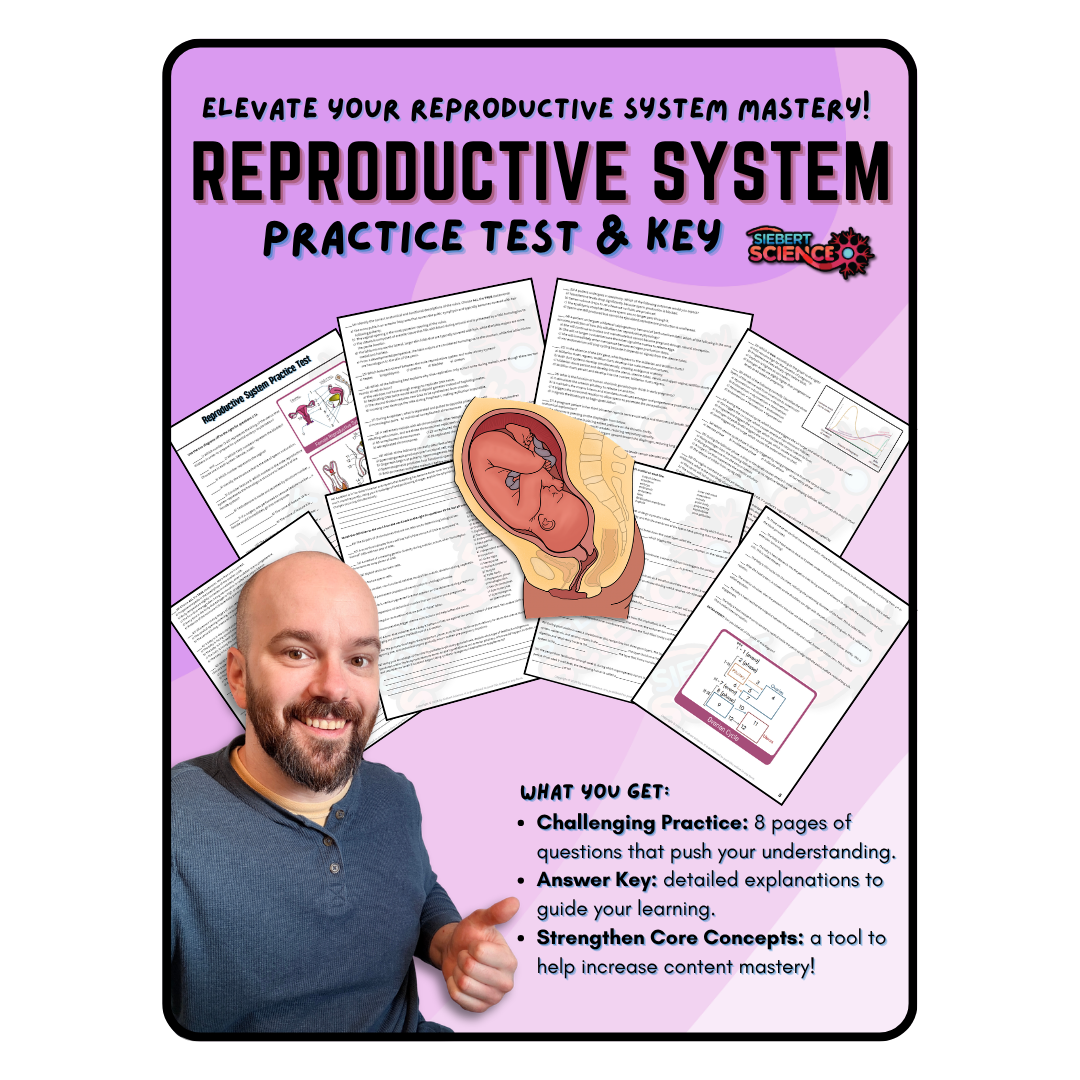 Practice Test - Reproductive System – Siebert Science Store