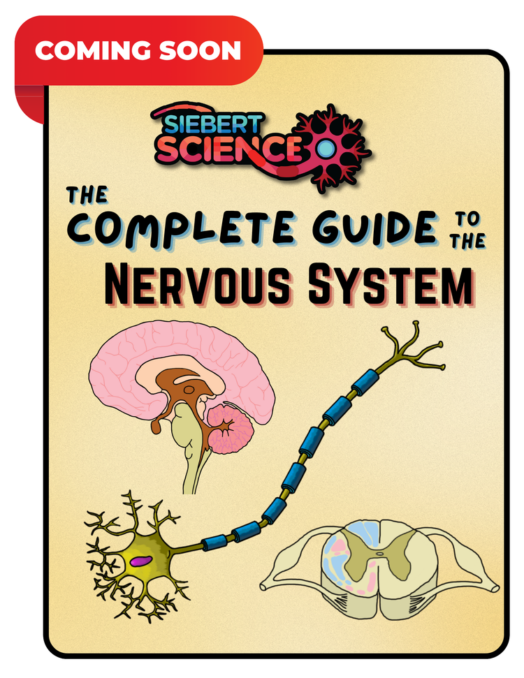 Survival Guide Thank You – Siebert Science Store