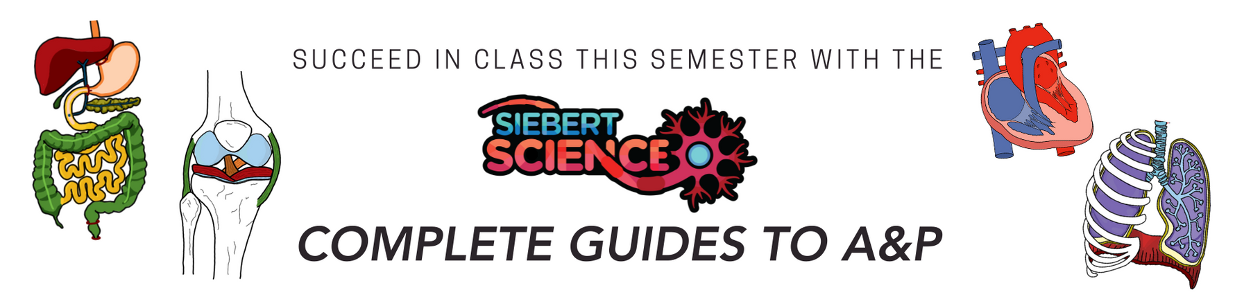 Survival Guide Thank You – Siebert Science Store