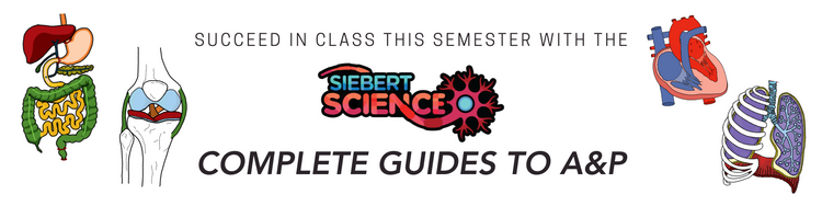 Survival Guide Thank You – Siebert Science Store